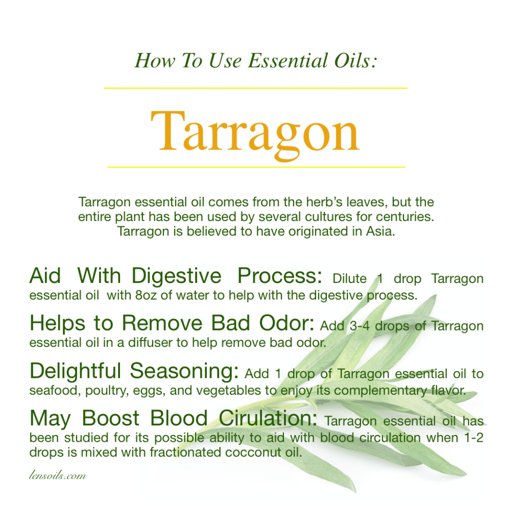 How to Use Essential Oils: Tarragon | Len's Oils